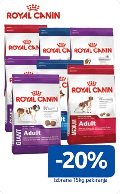 Pasma: Afganistanski hrt - MrPet.si